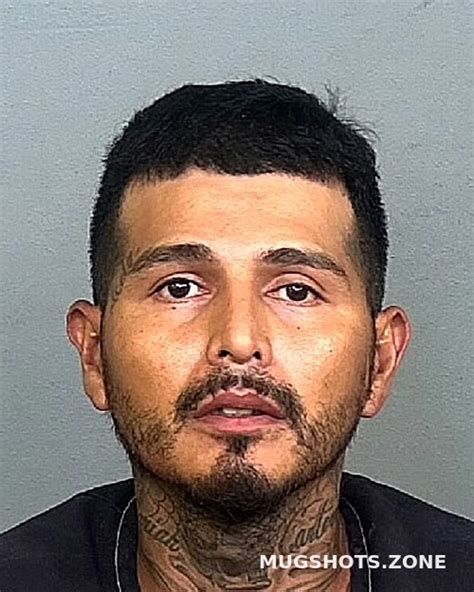 ANTUNES MOISES 07 12 2022 Manatee County Mugshots Zone