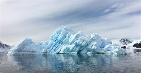 El Secreto De Los Peces De Hielo Eres Ciencia