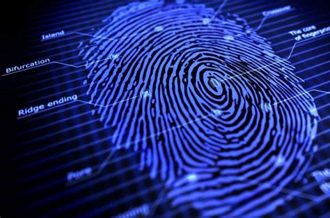 best in class fingerprint verification services in hyderabad legospy