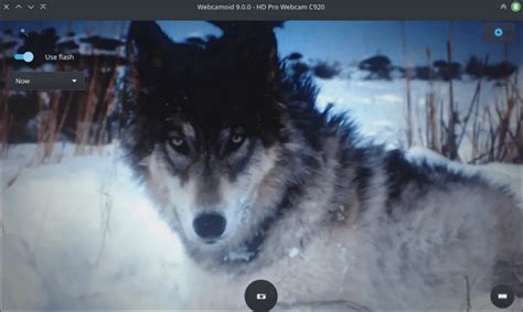 Top 8 Best Mac Webcam Recorder 2024 Update EaseUS