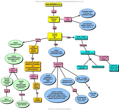 Mapas Conceptuales Mind Maps Y Science Experiments Gluten Y Enfermedad