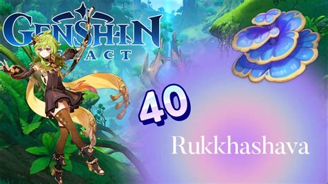 40 CHAMPIÑONES RUKKHASHAVA EN 8 MINUTOS Genshin Impact YouTube