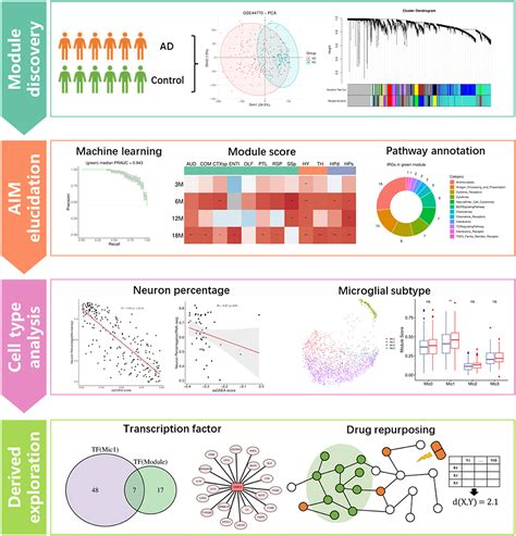 Frontiers Uncovering Neuroinflammation Related Modules And Potential