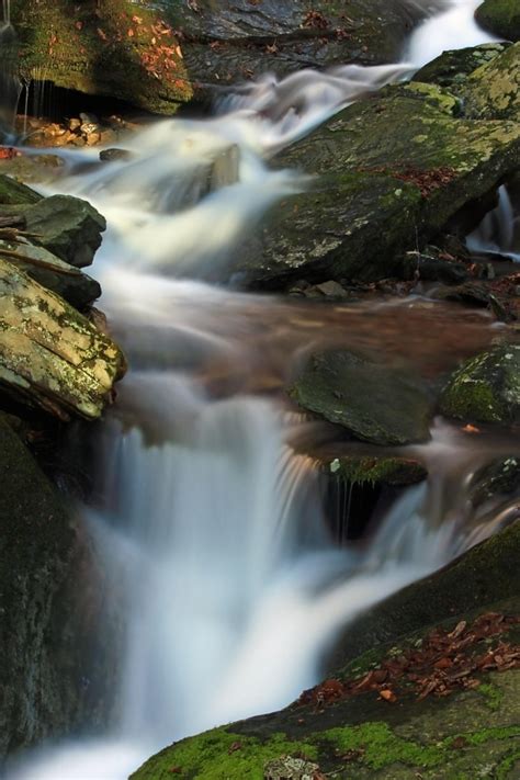 Free Picture Water Waterfall Forest Moss Ecology Stream River