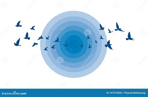 Flying Birds Silhouettes On Isolated Background Vector Illustration