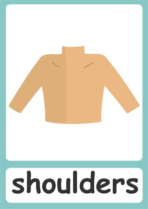 Real Body Part Flash Cards