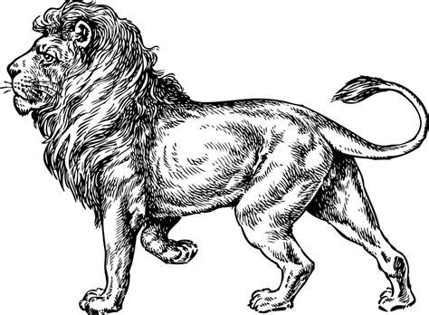 108 dessins de coloriage lion à imprimer sur LaGuerche Page 3