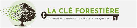 La clé forestière Association forestière du sud du Québec