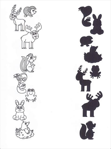 Actividades Para Infantil Relacionar Dibujos Con Su Sombra 9
