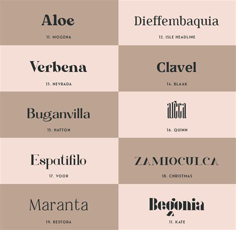 40 tipografías serif gratuitas MLC Estudio Inspiración y diseño