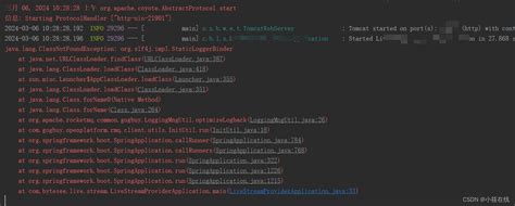 springboot容器启动报错：java lang classnotfoundexception org slf4j impl staticloggerbinder caused by