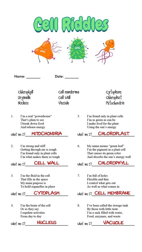 Prokaryotic And Eukaryotic Cells Worksheet Answers Teaching Cells