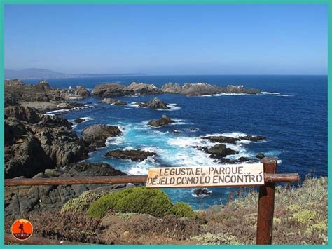 BioParque Puquén Los Molles Guía completa 2023