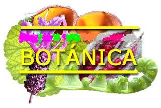 Cátedra de Botánica IPC