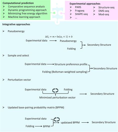 overview of the rna secondary structure prediction methods integrative download high