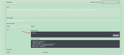 swagger 使用 教程 实例 配置 swagger怎么访问 csdn博客