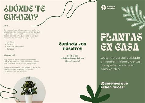 Plantillas Plantas Gratis Y Editables Canva
