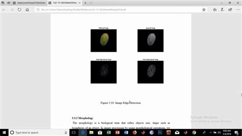 The Fruit Diseases Identification And Classification Using Image
