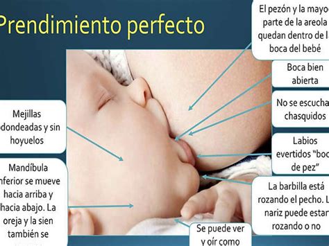 Mi leche no engorda a mi bebé Descubre la verdad sobre la alimentación