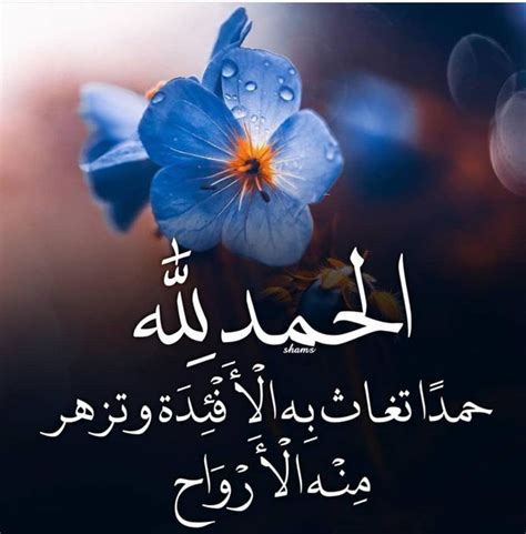 صور إسلامية on Twitter RT mmm450 رب الخير لا يأتي