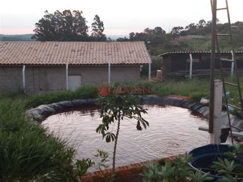 Rurais à venda 0 Joaquim Egídio Campinas R 280 000 1000 m2