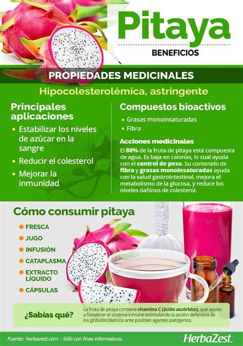 Actualizar 91 Imagem Pitaya Rosa Beneficios Br Thptnganamst Edu Vn