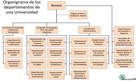 Organigrama Departamentos De Una Universidad Funci N The Best