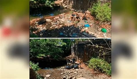 Trash Challenge Nuevo Reto Viral Que Pretende Limpiar La Basura Del