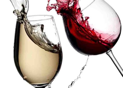 Il Vino Traina Lexport Italiano Food Beverage