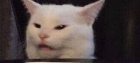 Meme del gato en la mesa esta es su historia Conócela Actualidad