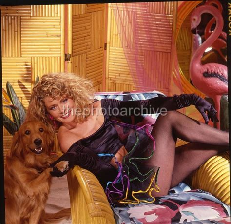 Sheree Wilson Porn Telegraph