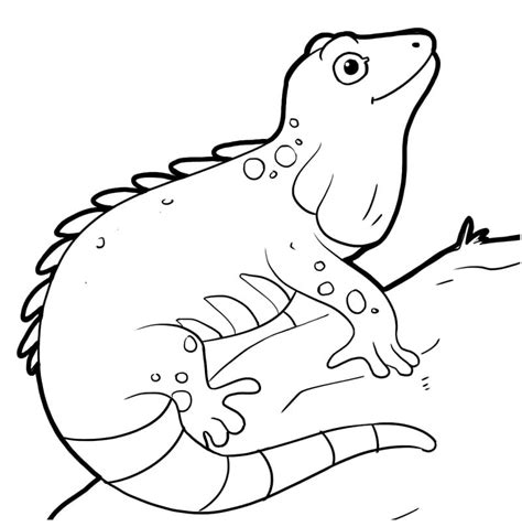 Dibujos De Iguana Sonriendo Para Colorear Para Colorear Pintar E