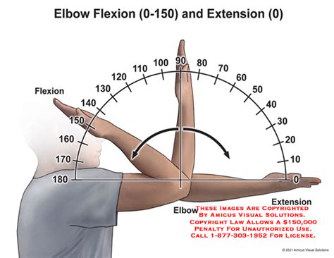 Medical Exhibits Demonstrative Aids Illustrations And Models