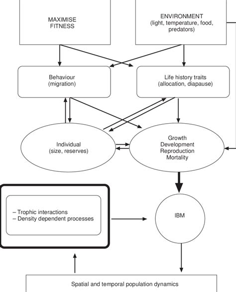 stochastic dynamic programming a conceptual overview of how short term download scientific