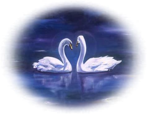 Pin Van Isabelle C Op Anim Canard Oie Poule