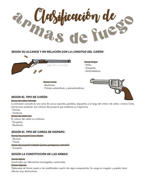 Clasificación de Armas de Fuego Liz uDocz