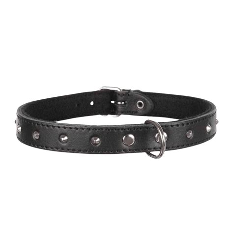 Trixie Collare Basic Nero Con Borchie Lallohallo