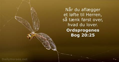 Den December Dagens Bibelvers Ordsprogenes Bog