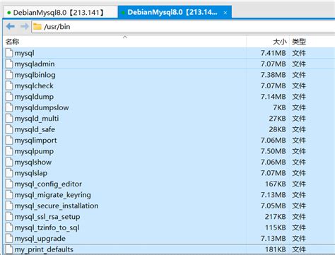 debian11安装mysql8 gpg error apt debian buster csdn博客