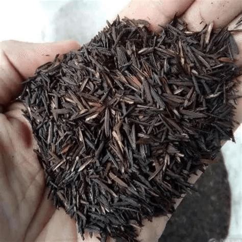Casca De Arroz Carbonizada Original Frete Gratis Litros
