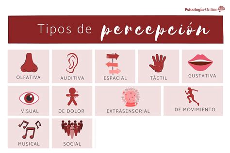 Tipos de percepción en psicología Definición clasificación y