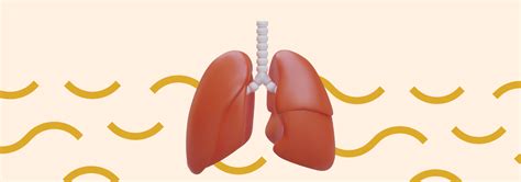 FazBem Blog Mitos e verdades sobre câncer de pulmão