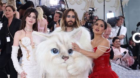 Por qué Jared Leto se vistió de gato en la Met Gala 2023 ABC Noticias
