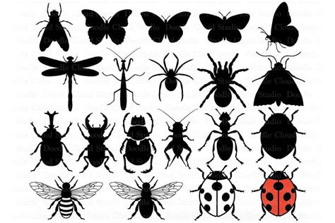 Insect Silhouette