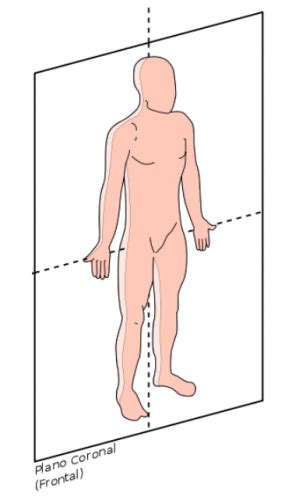 Posição Anatômica e Termos Anatômicos o que você sabe sobre isso