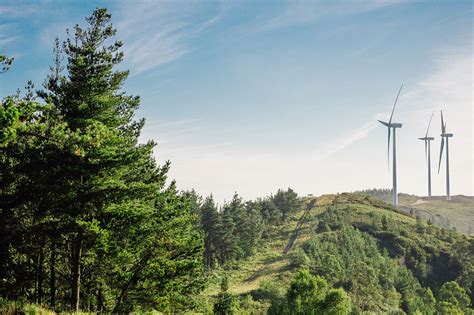 Wald Energieplan Ost West