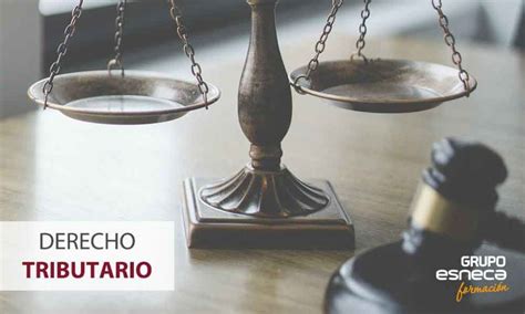 Qué es el derecho tributario guía completa Grupo Esneca