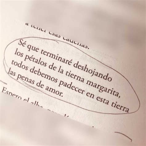 Cementeriodelibros On Instagram S Que Terminar Deshojando Los