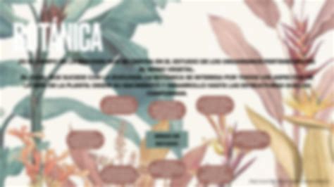 SOLUTION Ramas De La Biolog A Studypool