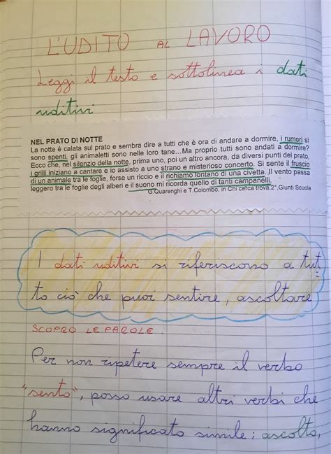 TESTO DESCRITTIVO Blog Di Maestra Mile